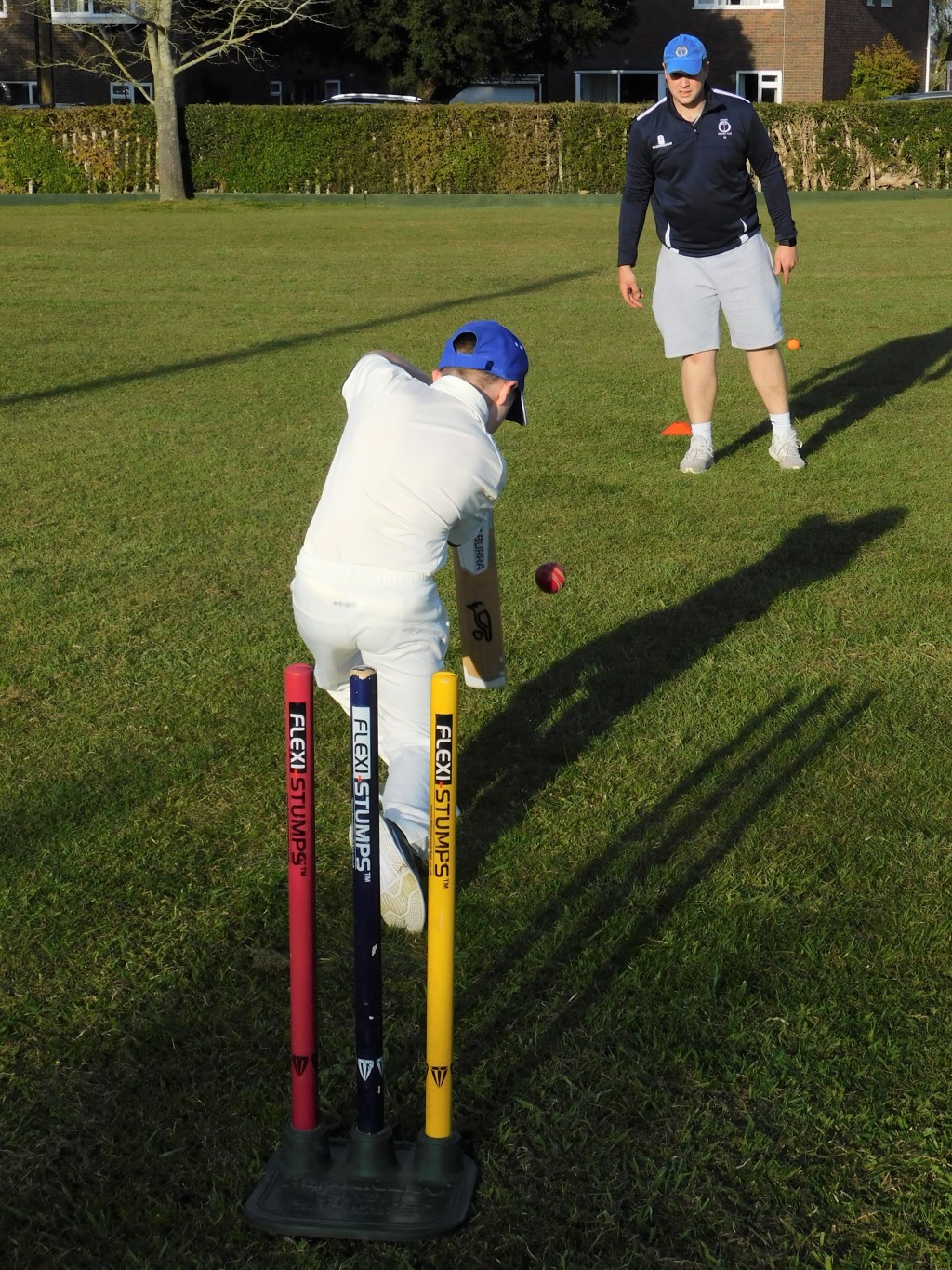 Our Junior Cricket